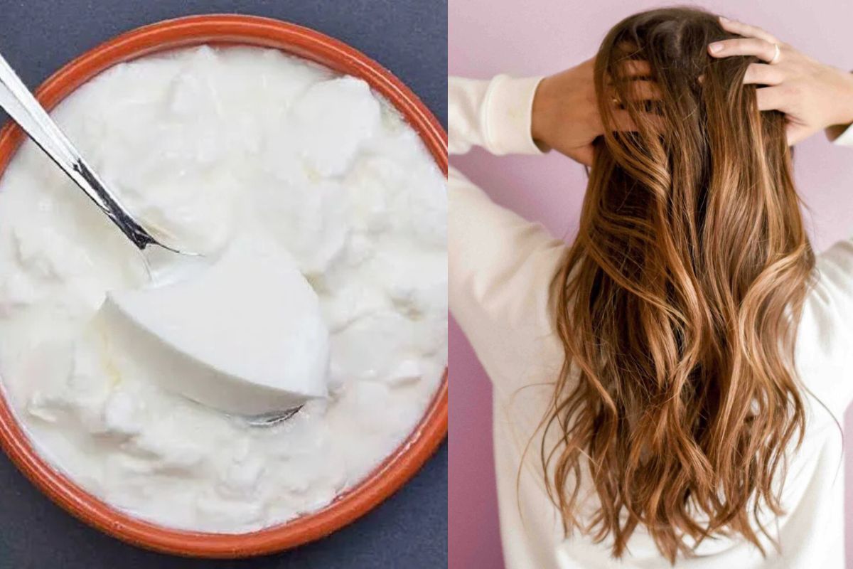 10 Benefits of Applying Curd on Hair For Gorgeous Locks - The News Pit