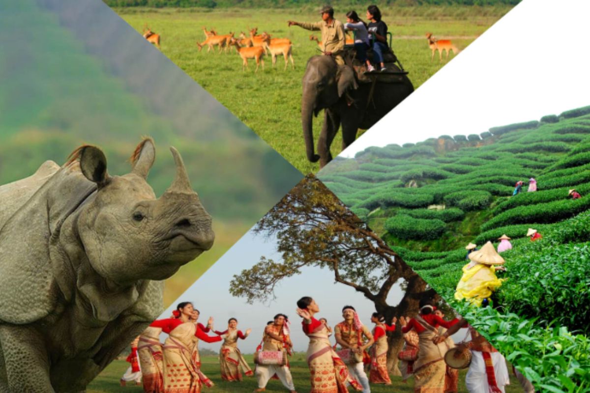 Assam: A Hidden Gem Among 2025's Top Travel Destinations